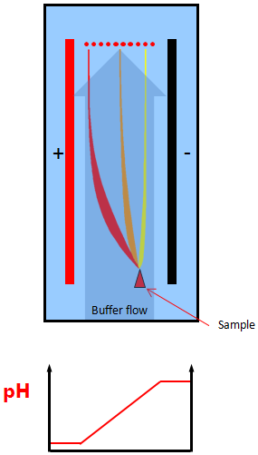 Technology | FFE Service by SERVA
