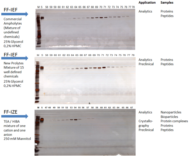 Isoforms | FFE Service by SERVA