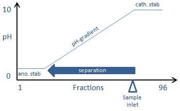 Isoforms | FFE Service by SERVA